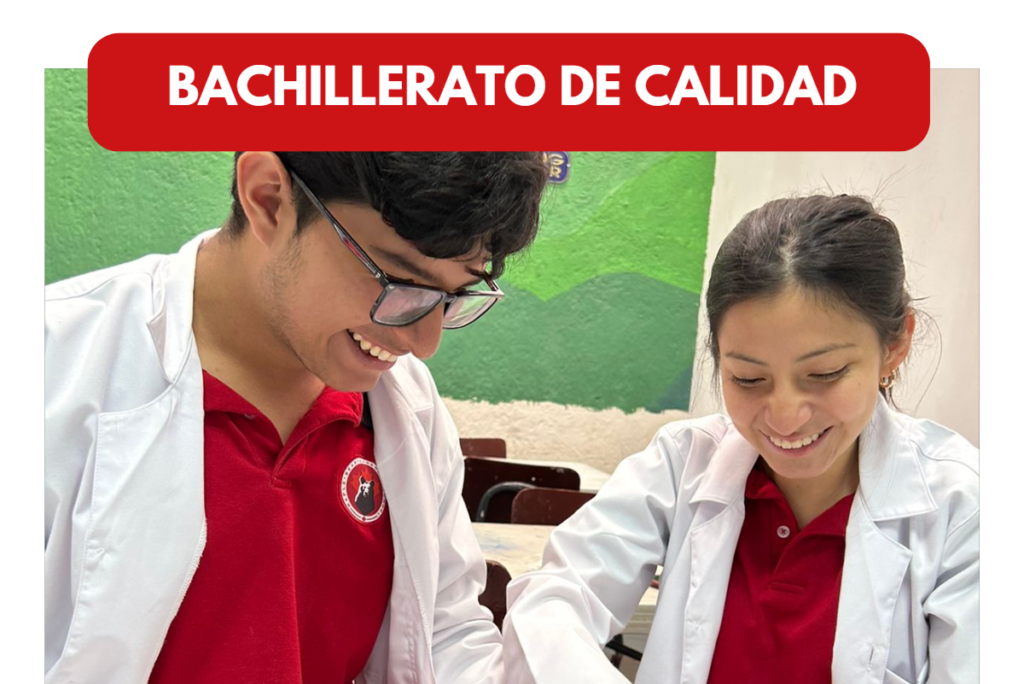 Bachillerato de Calidad | ¡Conoce Maple Bear Guatemala! - Maple Bear ...